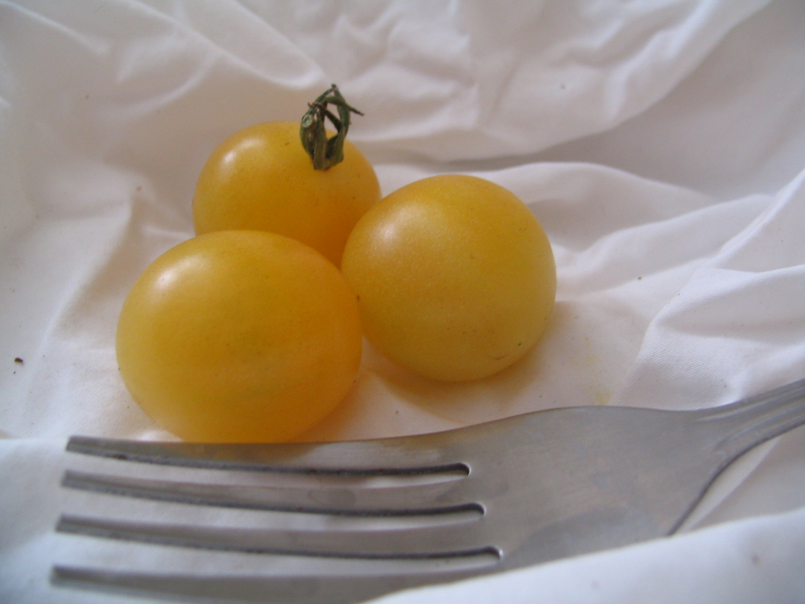 Snow White Tomato - Heirloom Seedhouse